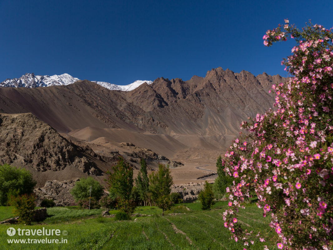 Ladakh - World's Highest Desert - Instagram Roundup - Travelure