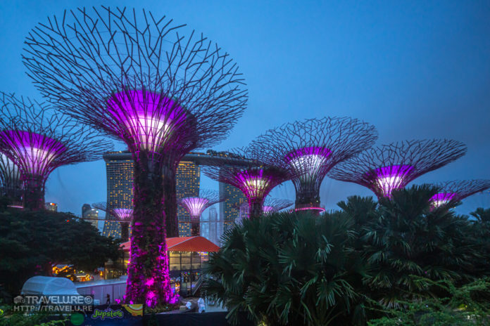 Explore The Beauty of the Blue Hour - Travelure