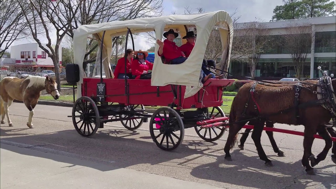 Travel Shaper Kerwin McKenzie - Passrider.com - Travelure